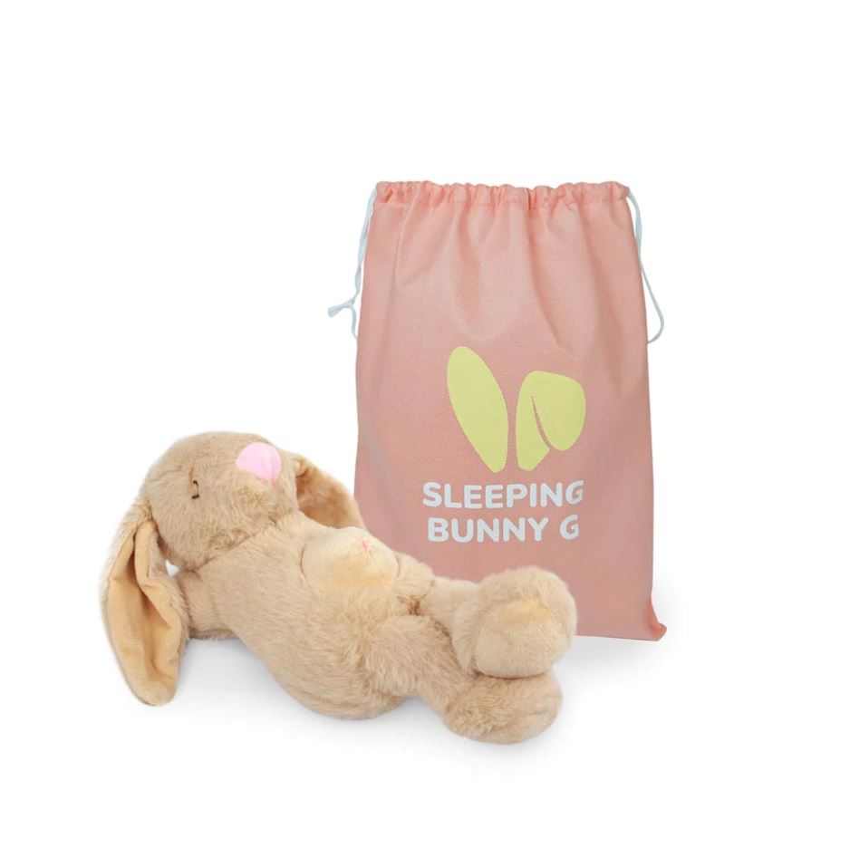 Sleeping Rabbit Soft Plush Toy – Getha Singapore Online Store